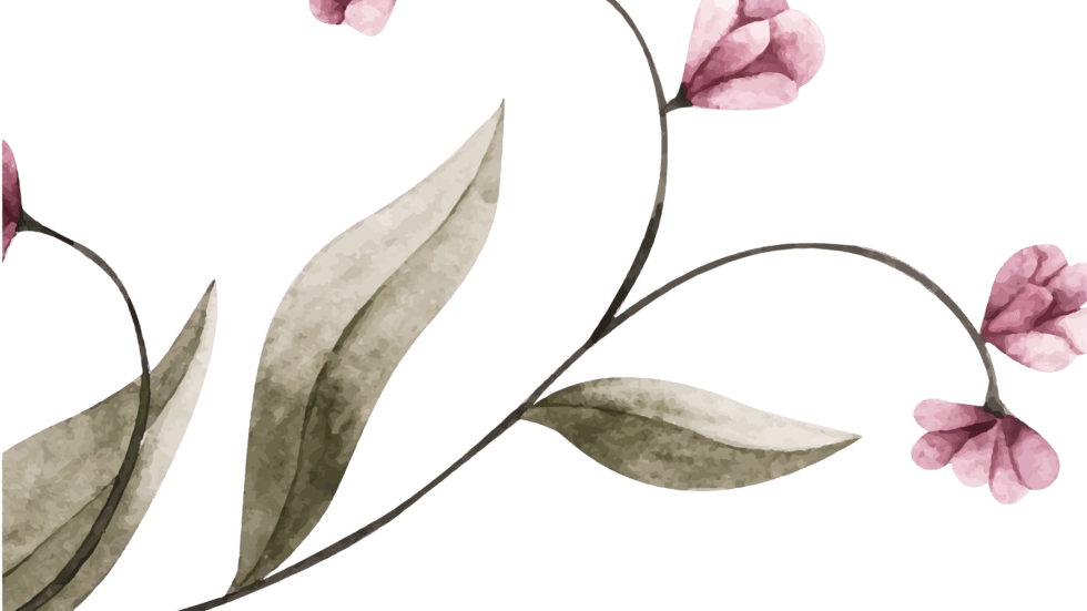 Sarathi | International Inc