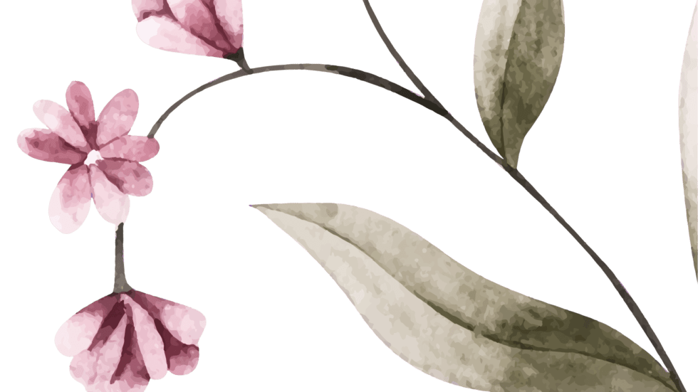 Sarathi | International Inc