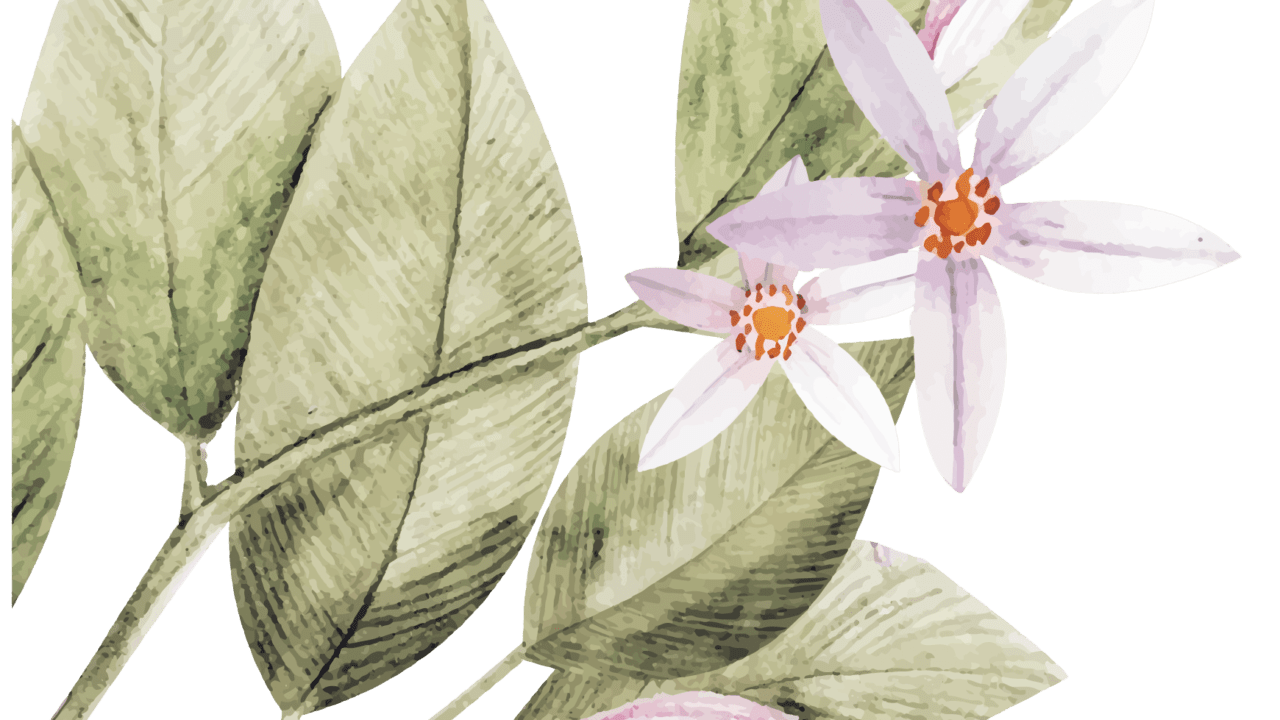 Sarathi | International Inc